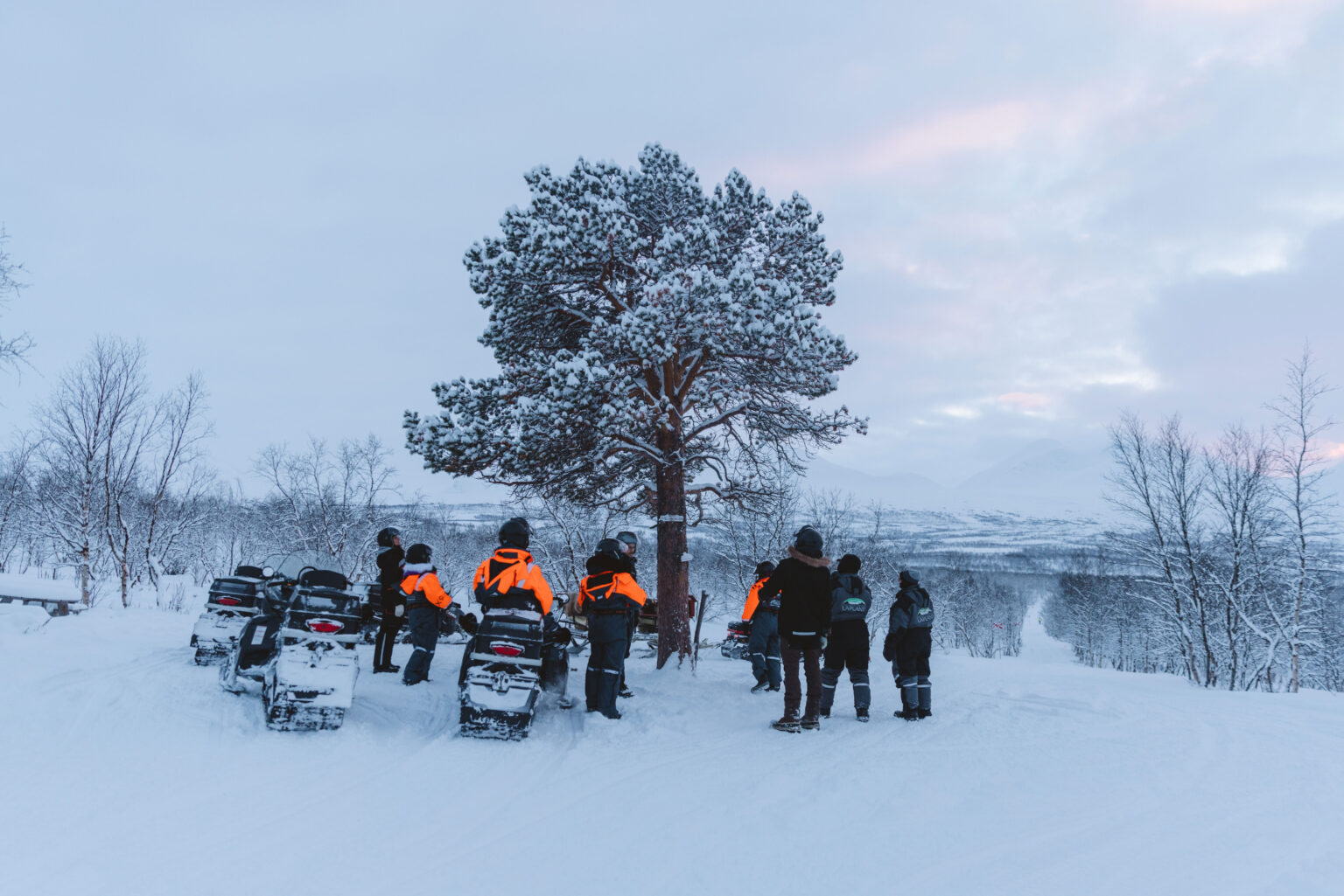 Snowmobile Adventure Abisko (Drive your own) - Lights over Lapland AB