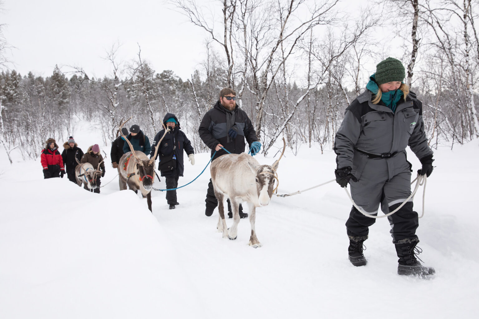 The Sami & Reindeer Experience - Árbi Suophan - Lights over Lapland AB